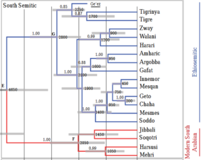 J-Y45447 and Links to Modern South Arabian Languages – Mygrations