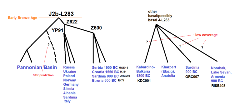 New Basal Lineage of J-L283 in the Pannonian Basin – Mygrations