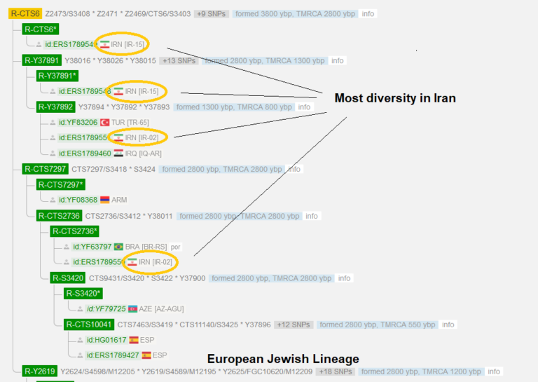 Patreon Commissioned Analysis – Iron Age R1a-CTS6 from Iran – Mygrations
