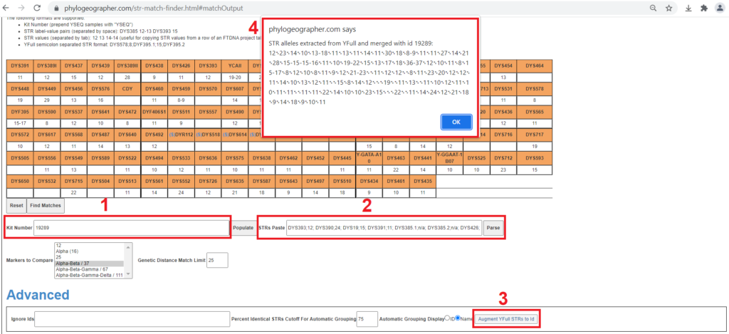 New STR Match Finder Function Automatically Merges YFull-extracted STRs ...