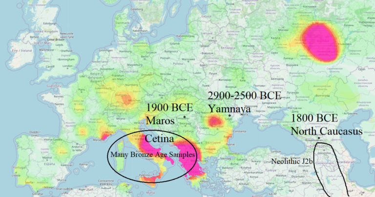 Implications of I10206, a 2700 BCE Ancient Yamnaya J2b-L283 from ...